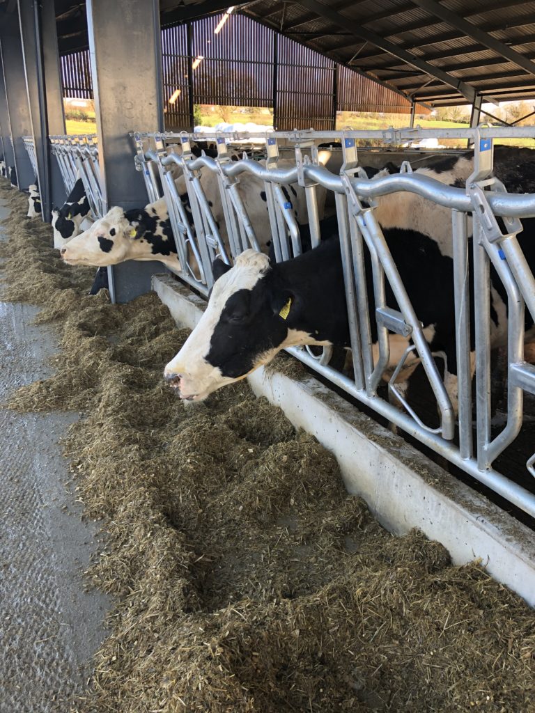 Agri-Kit Self-Locks - Wilson Agri