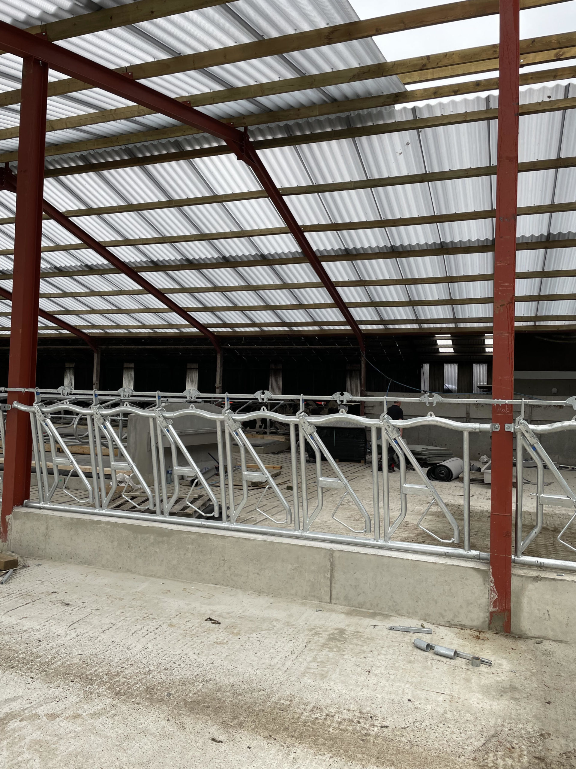 Comfort Self-Locking Yokes - Wilson Agri